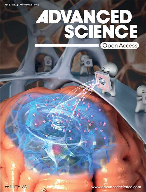 Adv. Sci. - 松迪科技（北京）有限公司